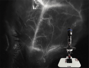 Compact and low cost swir cameras with superb image quality